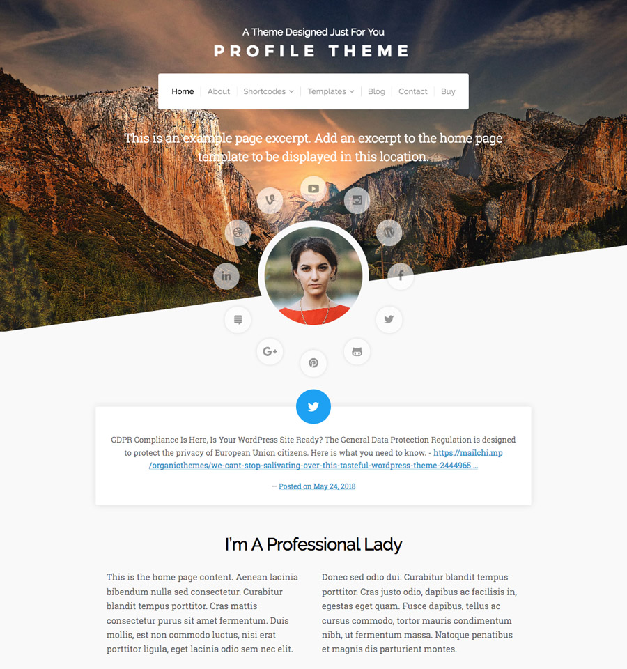 Profile Theme A WordPress Theme For Showcasing The Best Of You